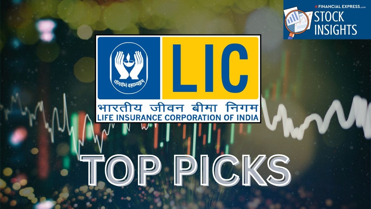 LIC is all-in on these 3 blue-chip stocks. Should you be, too? - Stock ...