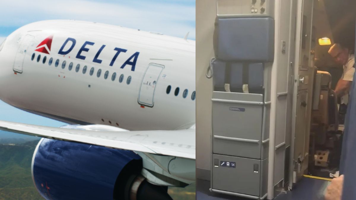 Chaos on Delta flight: Federal agents storm cockpit, arrest US pilot ...
