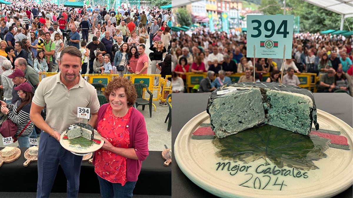 World's most expensive cheese sold for Rs 36 lakh a piece, creates new ...