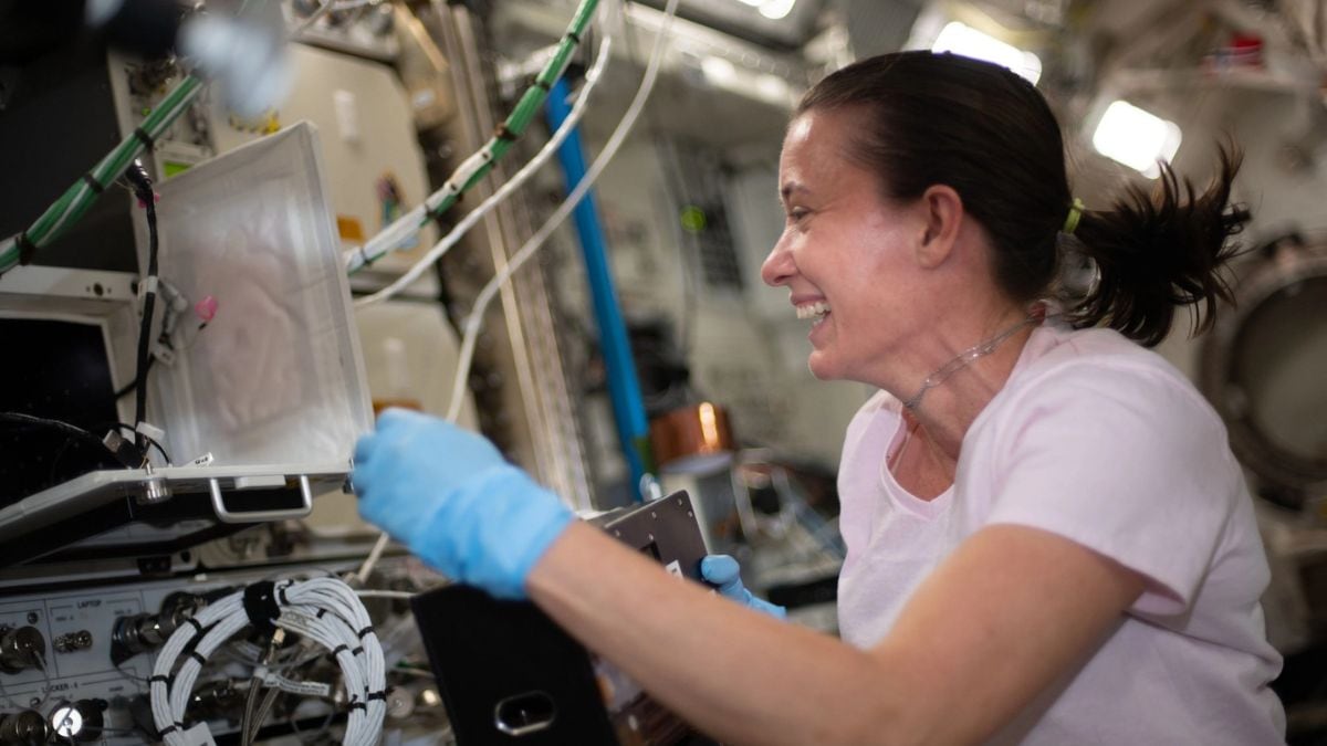 Meet Megan McArthur: The first woman to pilot SpaceX’s Dragon ...