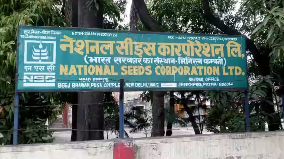 National Seed Corp eyes 33% rise in turnover to Rs 1,600-cr in FY26 ...
