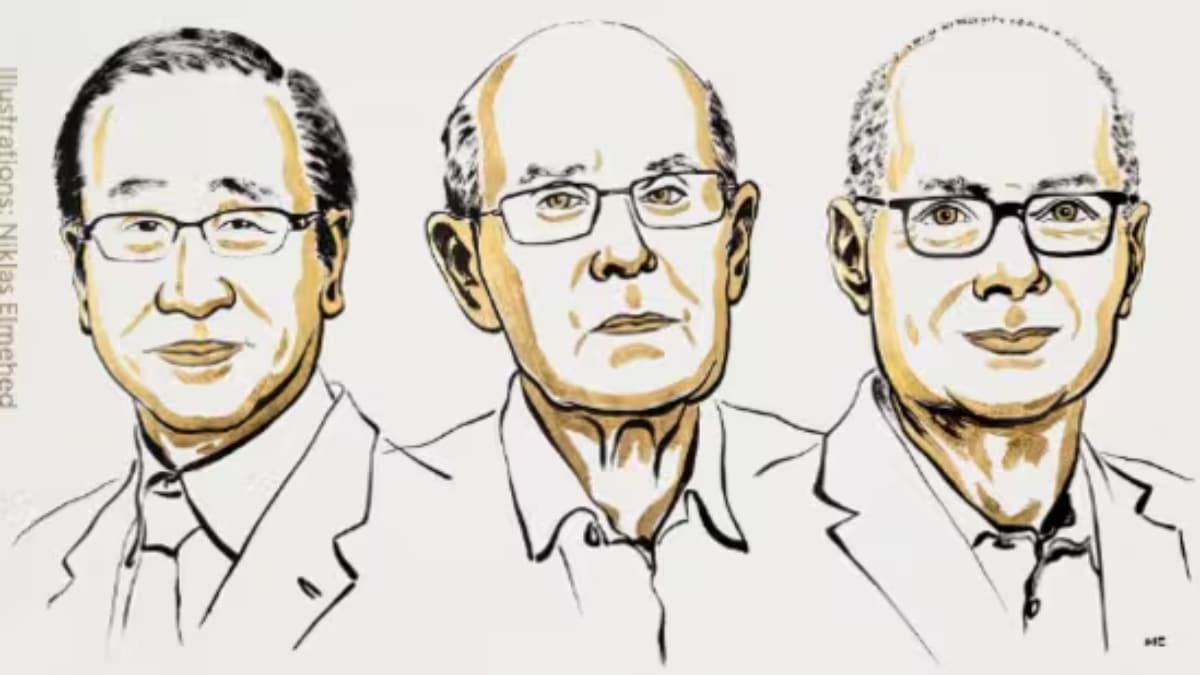 Susumu Kitagawa, Richard Robson and Omar M Yaghi win Nobel Prize in ...