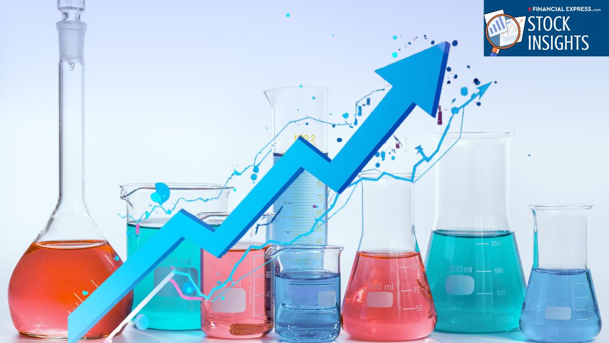 Zero debt, 52% ROCE: Inside the 3 chemical stocks quietly crushing the ...