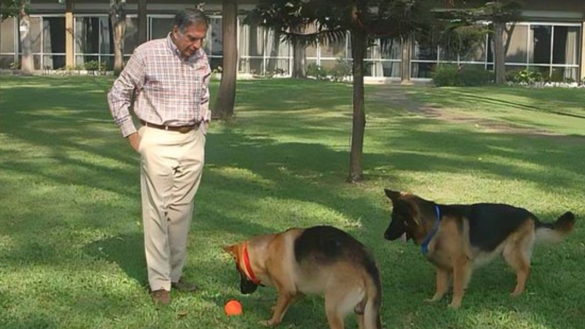 Remembering Ratan Tata and his furry friends: Why he prioritised his ...