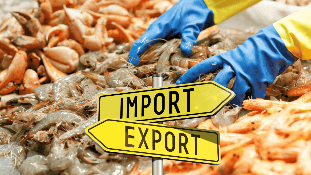 India diversifies shrimp exports to China, 7 key markets but H2 exports ...
