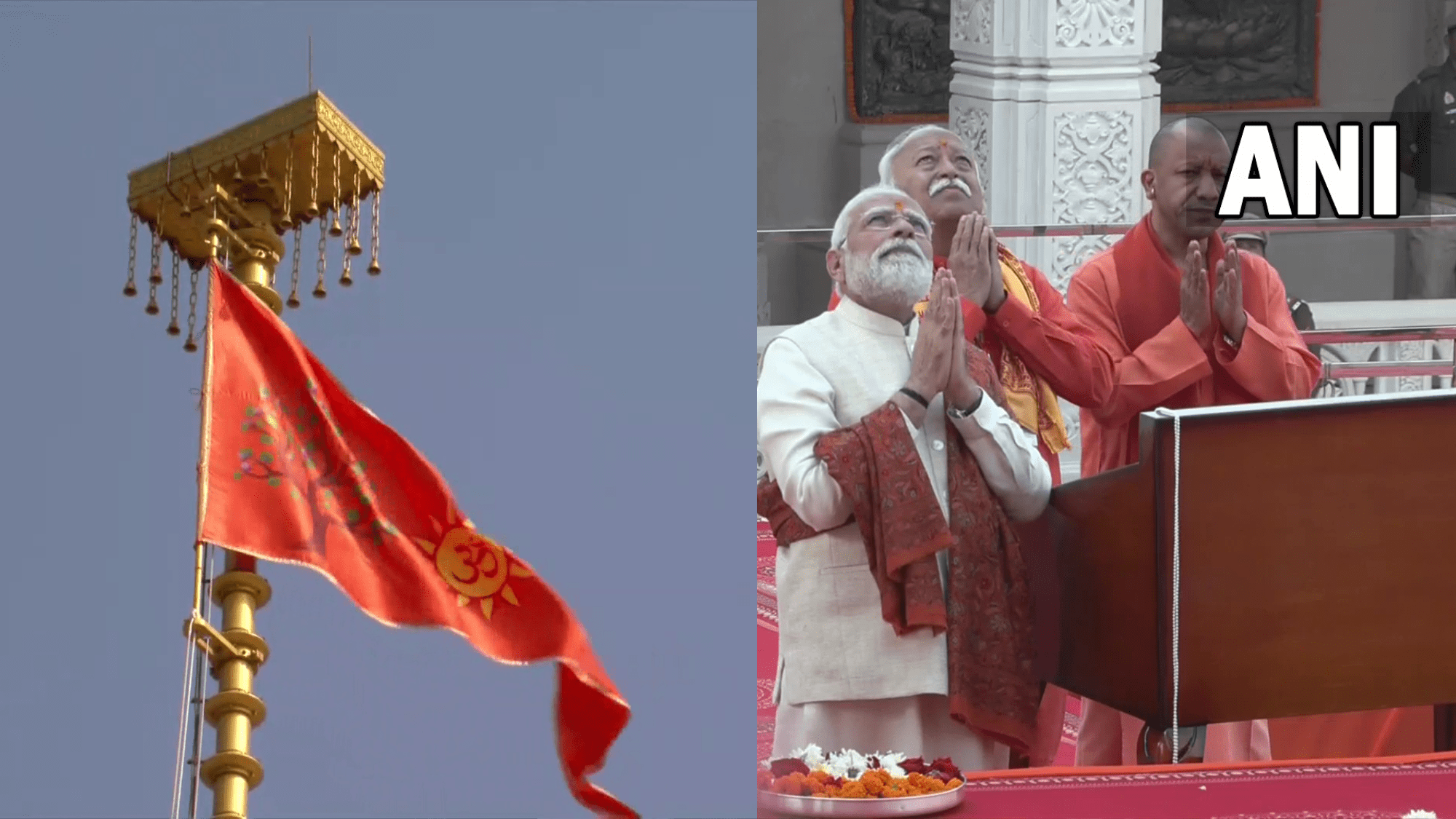 Kovidara tree: All about the sacred symbol on the ‘Dharma Dhwaj’ PM Modi hoisted in Ayodhya ...