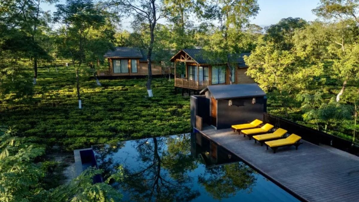Not Taj or Four Seasons: This property in Assam named Hotel of the Year ...
