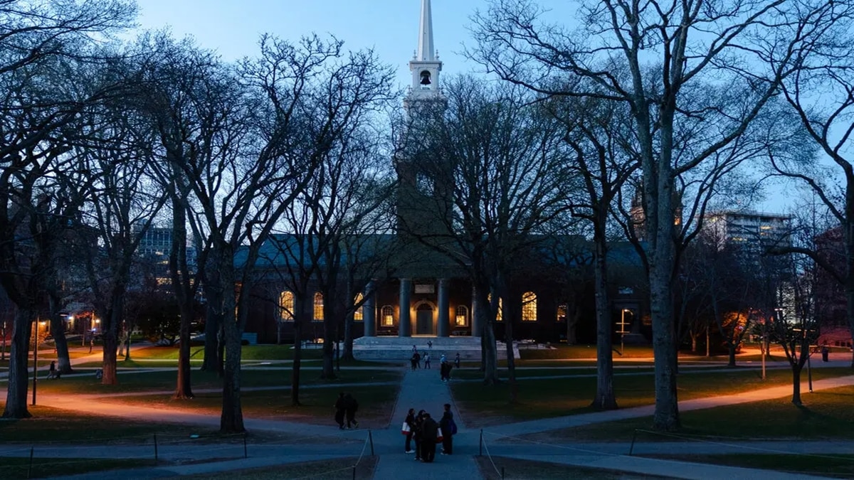 Harvard sees biggest foreign student share in decades despite visa ...