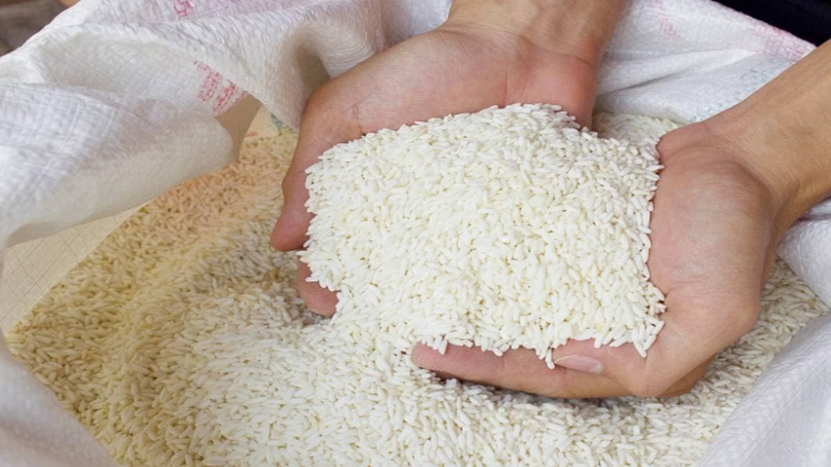 Record rice stocks may help offset likely dip in output - Economy News ...