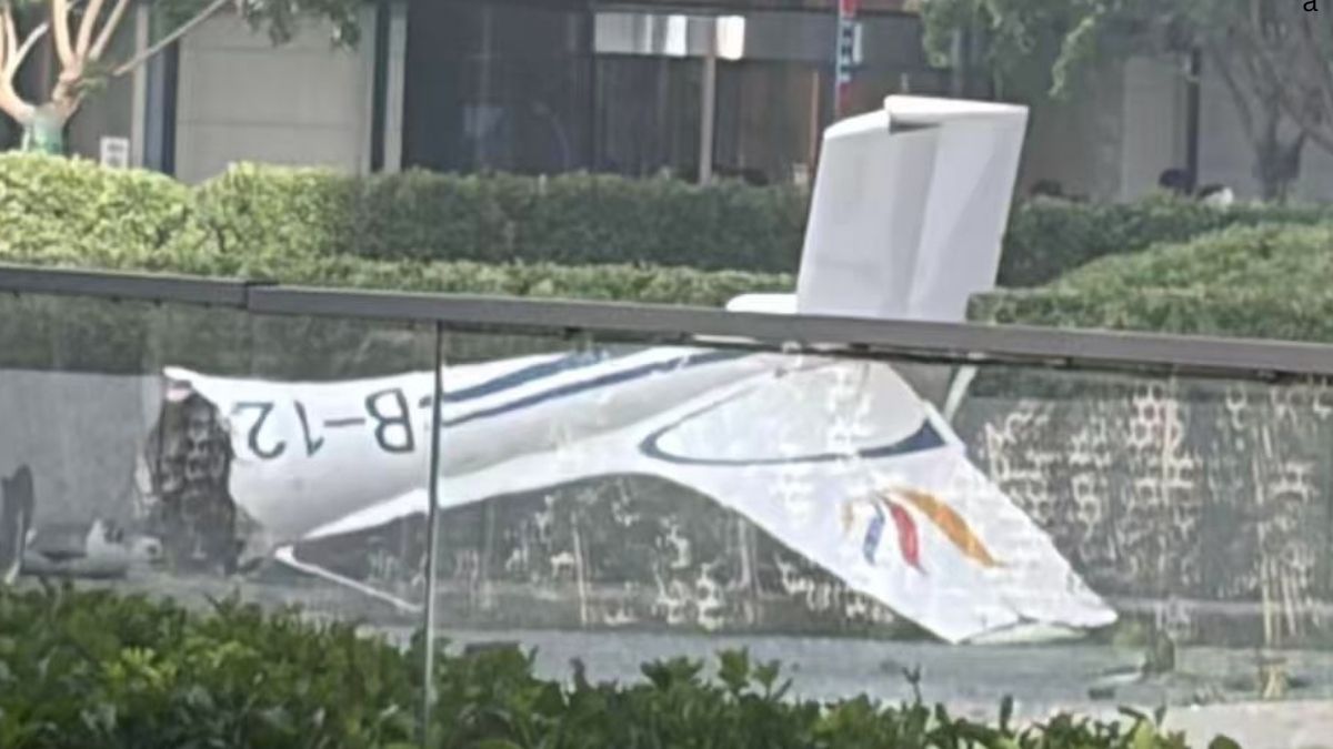Watch: Small plane crashes into Beijing's tallest building; shards of ...