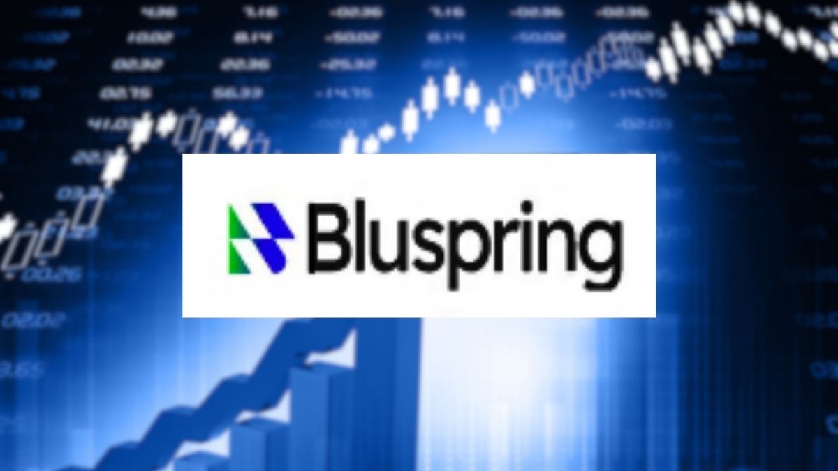 Bluspring Enterprises wins Rs 2,049.8 crore order from BALCO; shares ...