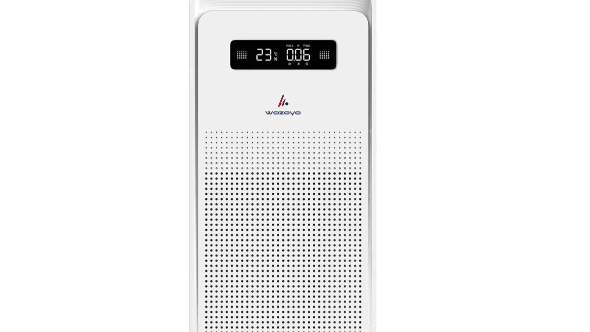Cleaner homes, less summer heat: Wozoyo Pure Air PA6 brings smart ...